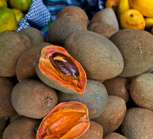 ¿Qué tiene el zapote que lo hace único? – Medicina Positiva